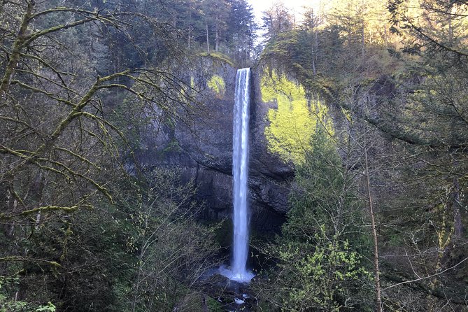 Private - Columbia River Gorge Waterfalls and Wine Tour - An Afternoon of Wine in Hood River