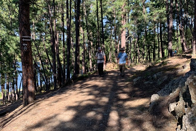 Private Custer State Park Safari and Hiking Tour - The Sum Up