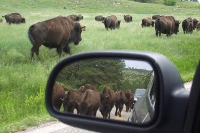 Private Custer State Park Safari and Hiking Tour - Frequently Asked Questions