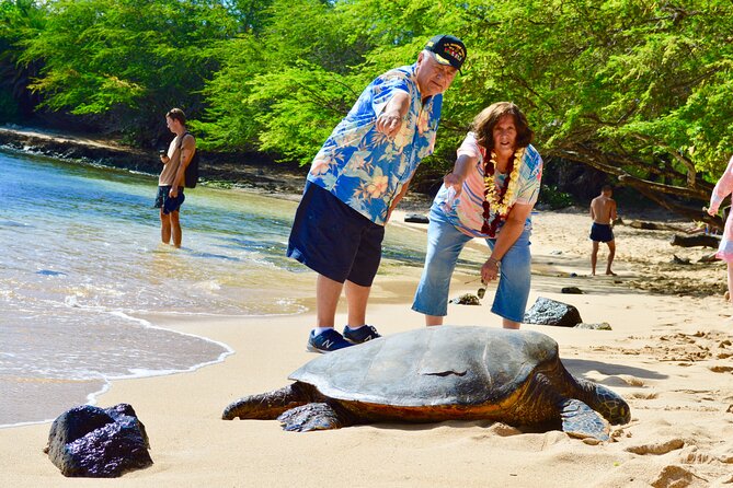 Private Customized Oahu Full Day Tour - Final Thoughts