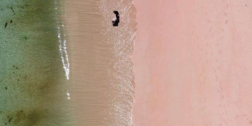 Private day tour to pink beach-sand island-gili petelu - Practical Details and Value