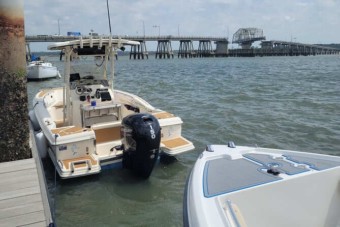 Private Dolphin Boat Tour in Hilton Head Island - Final Thoughts