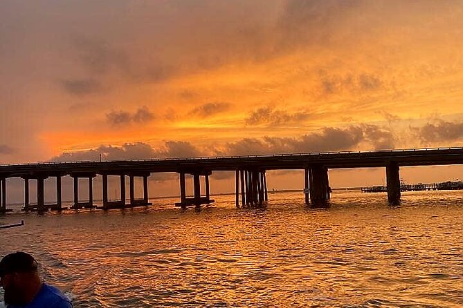 Private Dolphin Cruise in Destin holds 29 people - Is It Worth the Price?