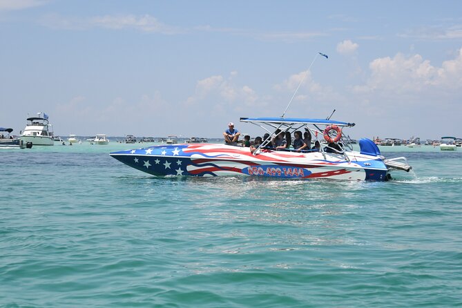 Private Dolphin Spotting Thrill Ride in Destin - An In-Depth Look at the Destin Dolphin Thrill Ride