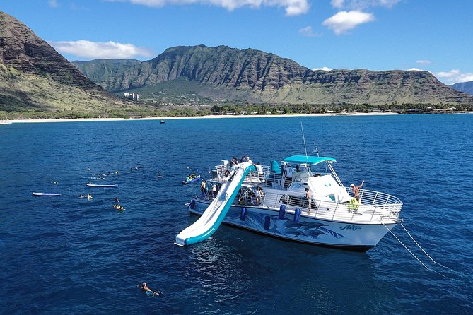 Private Dolphin Swim with Slide for up to 15 Passengers - An In-Depth Look at the Tour Experience