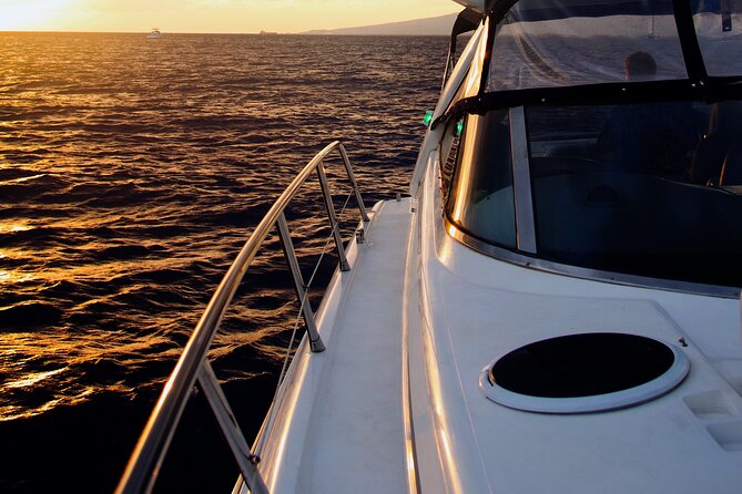 Private Evening Cruise - Overall Value and Cost