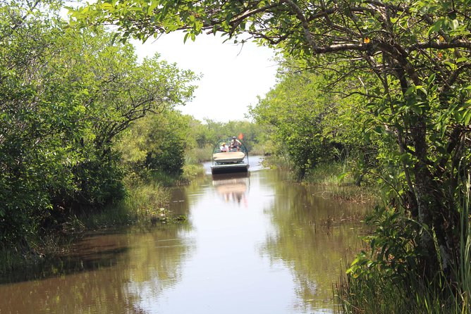 Private Everglades Airboat Tour including hotel pick up and Everglades specialist - Final Thoughts