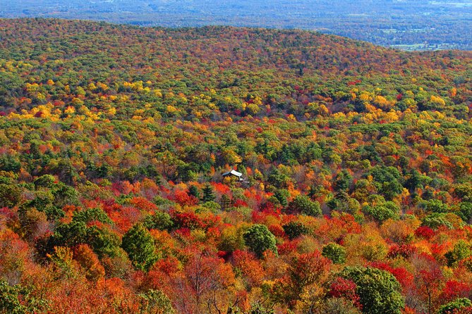 Private Fall Foliage Helicopter Tour for 2-6 from Westchester - An In-Depth Look at the Fall Foliage Helicopter Tour