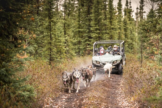 Private Fall Foliage Mushing Cart Ride in Fairbanks - Who Is This Tour Best For?