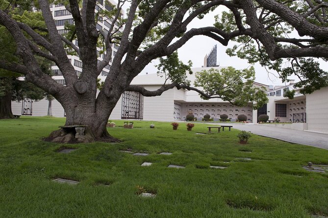 Private Full Day Los Angeles Tour with a Historian and Naturalist - Introduction