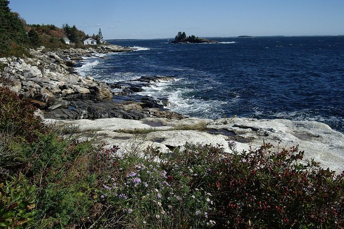 Private Full Day Tour to Coastal Maine from Boston with Hotel pick-up - Exploring the Coastal Charm of Maine in Style