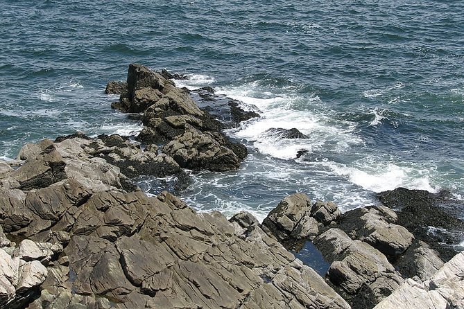 Private Full Day Tour to Coastal Maine from Boston with Hotel pick-up - Who Will Love This Tour?