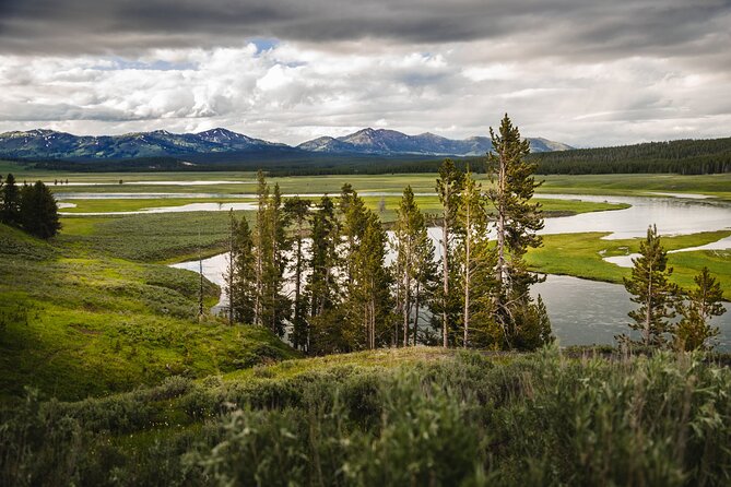 Private Full-Day Yellowstone National Park Tour - Final Thoughts