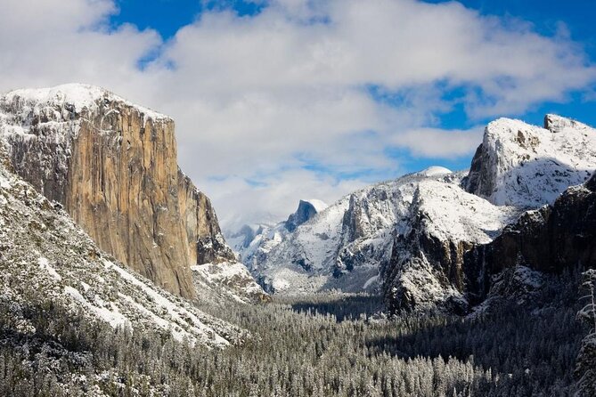 Private Full Day Yosemite National Park Tour from San Francisco - Practical Aspects & What to Keep in Mind