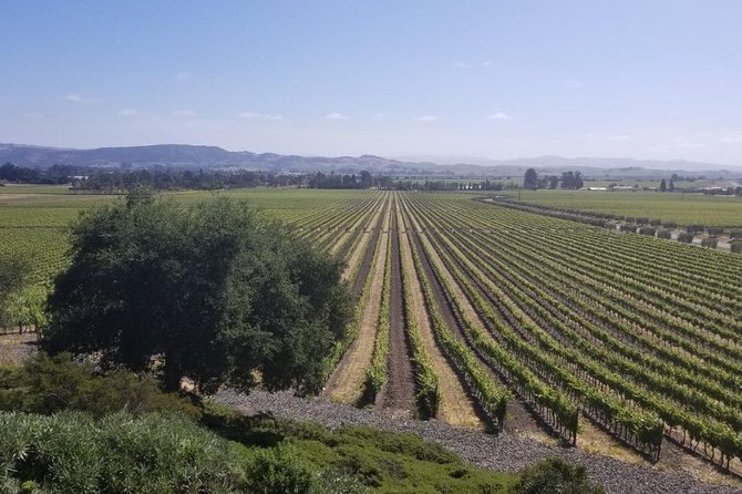 Private Group Wine Tour of Napa and Sonoma - A Deep Dive into the Wine Journey