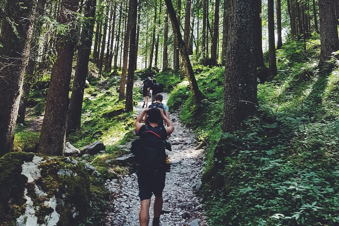 Private Guided Hiking Tour - Sequoia National Park - Who Is This Tour Best For?