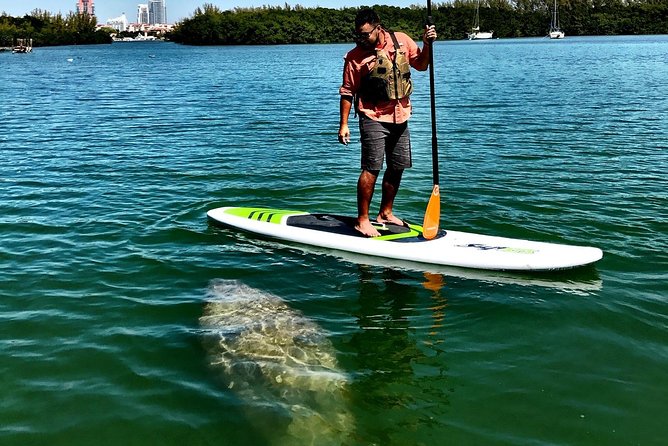 Private Guided Kayak or SUP Eco Adventure - Final Thoughts