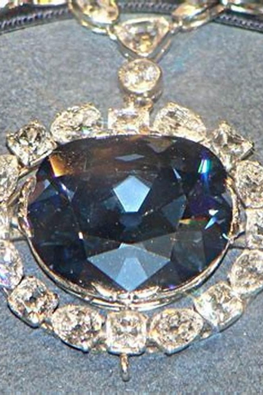 Private Guided Tour of The Natural History Museum - Key Points