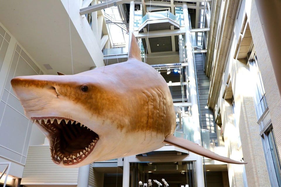 Private Guided Tour of The Natural History Museum - The Practicalities: What’s Included and How It Works