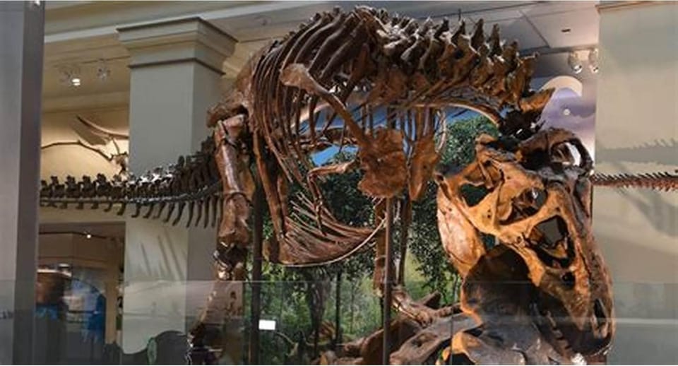 Private Guided Tour of The Natural History Museum - The Experience from Reviews