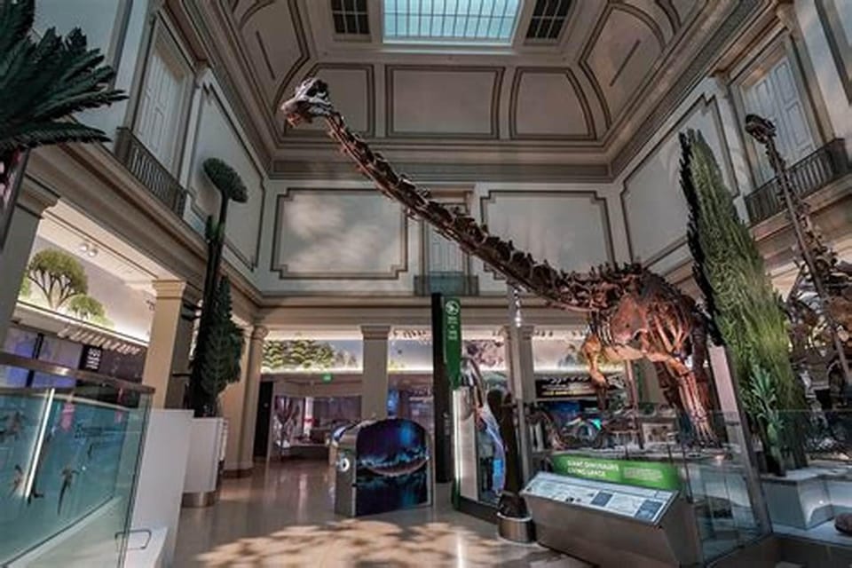 Private Guided Tour of The Natural History Museum - Why This Tour Offers Great Value