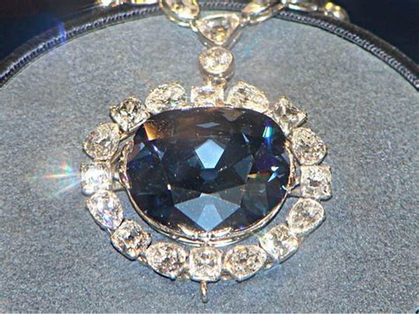 Private Guided Tour of The Natural History Museum - Who Will Love This Tour?