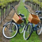 Private Guided Wine Country Bike Tour in Mattituck - A Closer Look at the Tour Itinerary