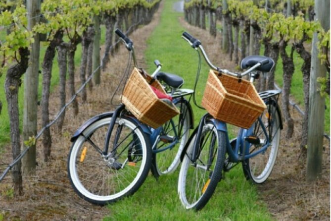 Private Guided Wine Country Bike Tour in Mattituck