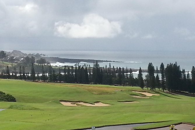 Private Hana, Ocean, Turtle Town, Winery Tour of Maui - The Experience: What to Expect on the Private Maui Tour