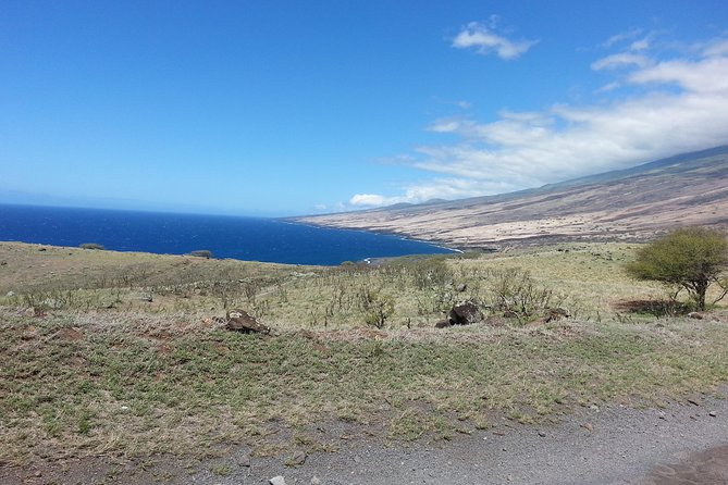 Private Hana, Ocean, Turtle Town, Winery Tour of Maui - FAQ