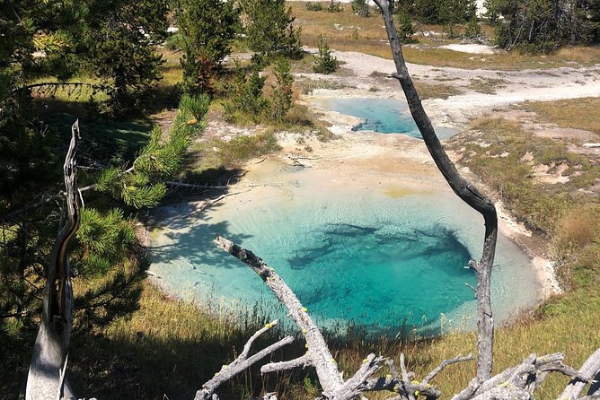 Private Hidden Gems of Yellowstone! Lunch w/ family friendly hikes included! - A Deep Dive into the Yellowstone Hidden Gems Tour