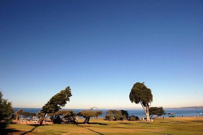 Private Instagrammable San Diego Tour  Scenic and Coastal - Exploring San Diego with a Private Instagrammable Tour