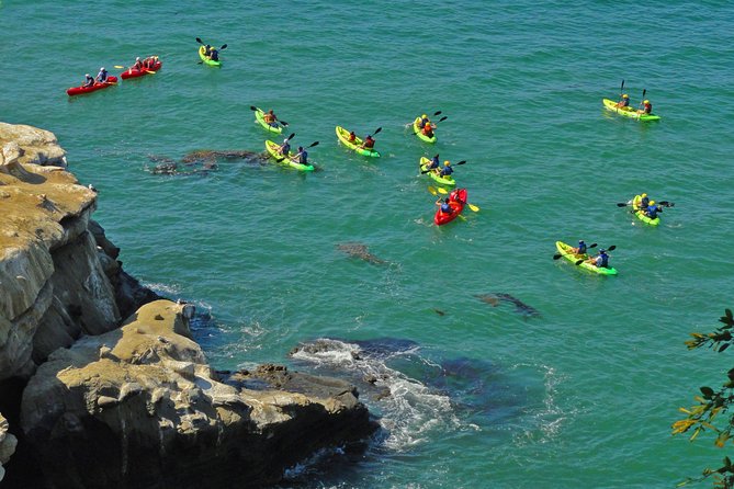 Private Instagrammable San Diego Tour  Scenic and Coastal - Is This Tour Worth the Price?