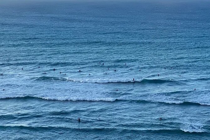 Private Island Tours and Charters through the Island of Oahu - Key Points