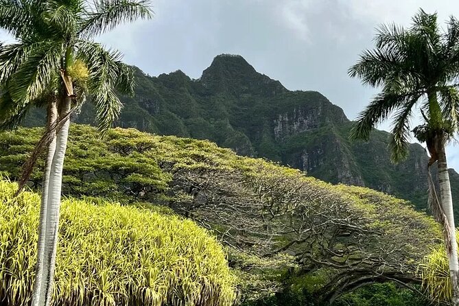 Private Island Tours and Charters through the Island of Oahu - Who Will Love This Tour?