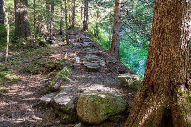 Private Ketchikan Mountain Lake Extended Trek to Alpine Overlook
