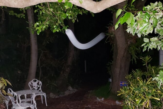 PRIVATE Key West Haunted History Walking Tour - The Itinerary: An In-Depth Look