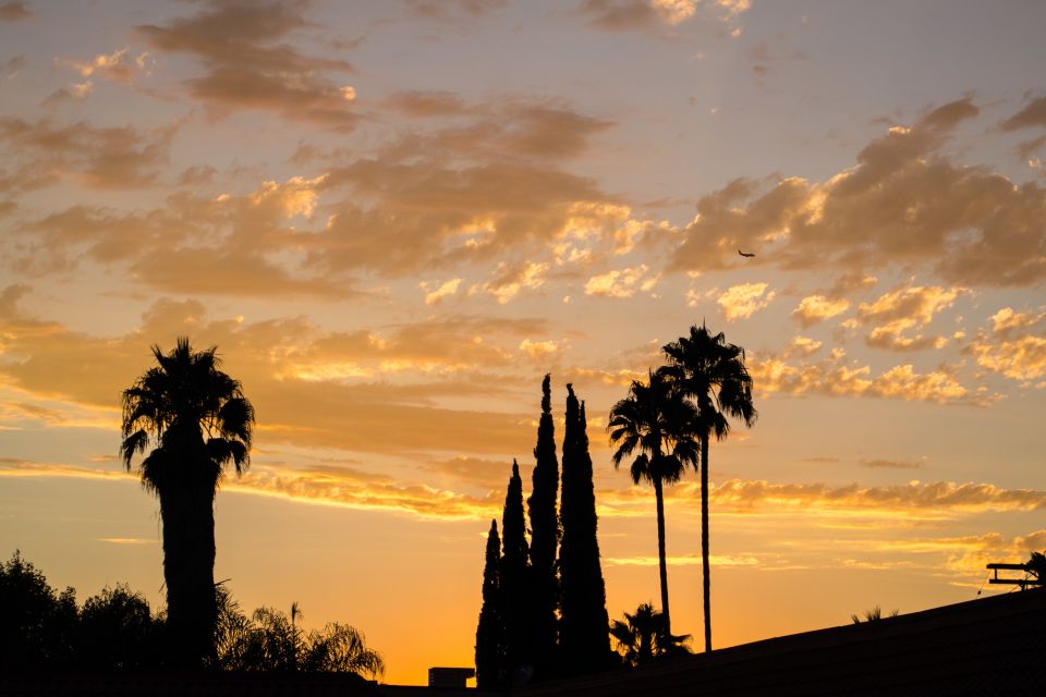 Private Los Angeles Tour by Night - Key Points