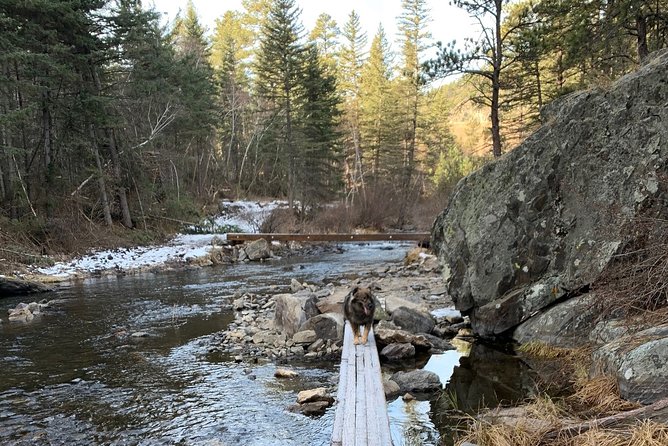 Private Mount Rushmore and Flume Trail Hike - The Mount Rushmore Experience
