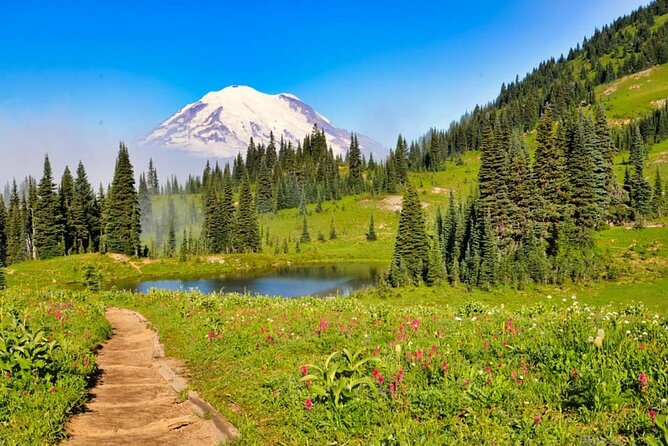 Private Mt Rainier National Park Tour in SUV - Key Points
