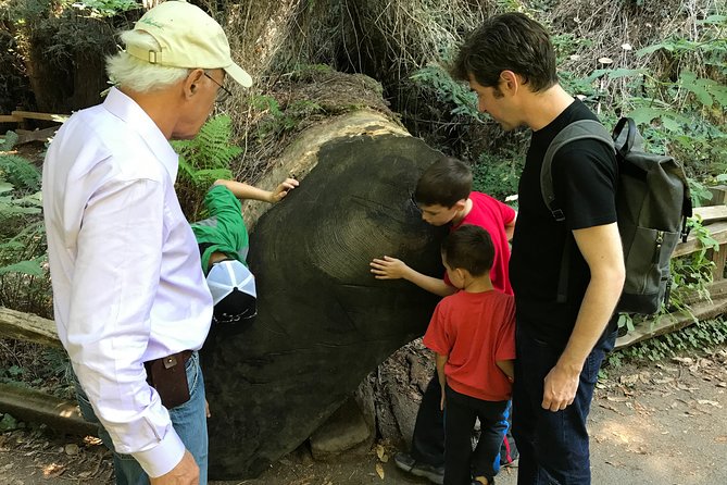 Private Muir Woods and Sausalito Half Day Tour - The Convenience of Private Transportation and Pickup