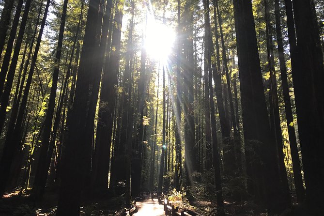 Private Muir Woods and Sausalito Half Day Tour - What Reviewers Say