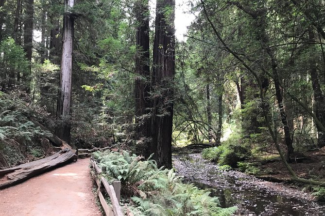 Private Muir Woods and Sausalito Half Day Tour - Price and Value Analysis