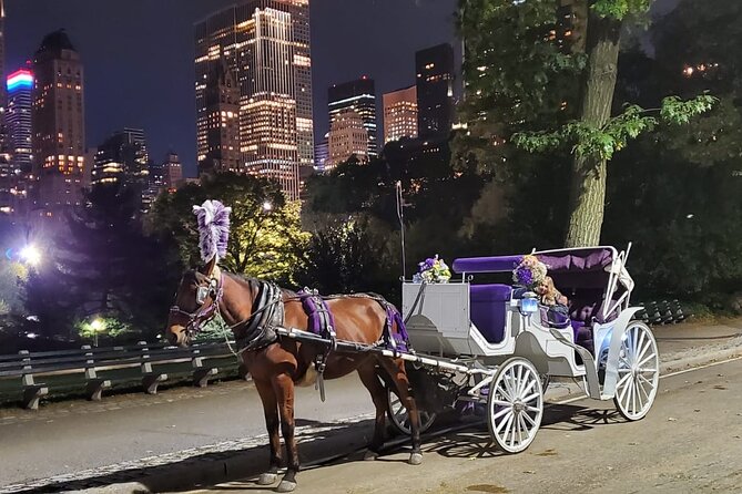 Private NYC Central Park Horse Carriage Ride (Guided) Since 1965 - FAQ