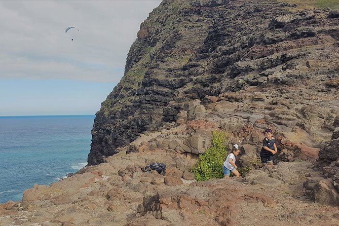 Private Oahu Circle Island Tour - Who Should Book This Tour?