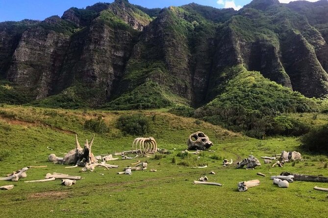 Private Oahu Photo Tour - The Sum Up