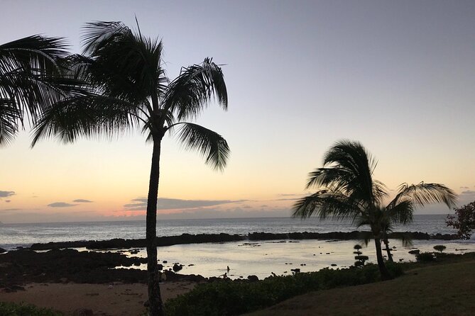 Private Pearl Harbor & North Shore tour (Se habla Español) - What’s Included & What’s Not