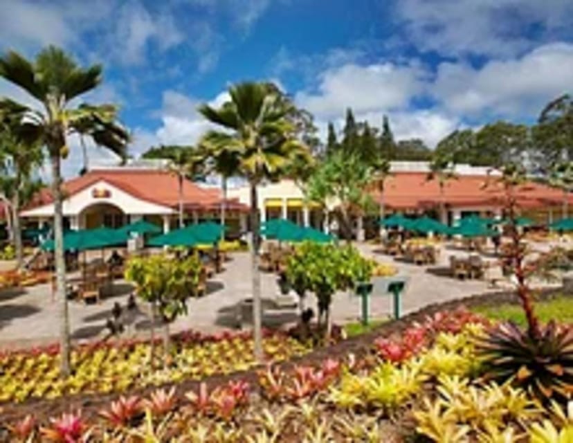 Private Pearl Harbor & Oahu Island Tour - Who Will Love This Tour?