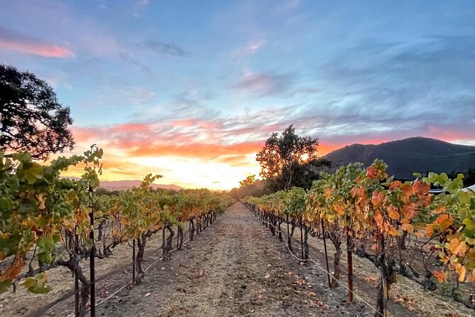 Private Santa Barbara Wine Country Vineyards & Villages Tour