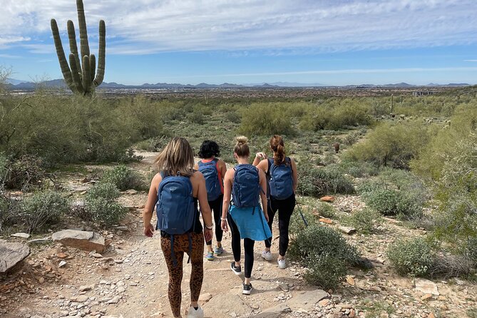 Private Scottsdale Day Hiking Tour - An In-Depth Look at the Experience